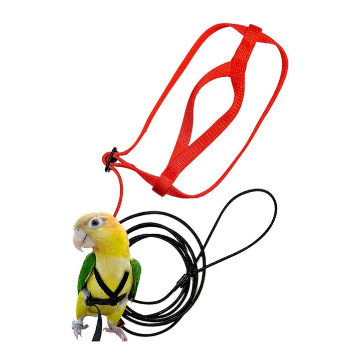 【Funny Bunny Toy Store】Pet Bird Harness and Leash,Adjustable Parrot ...
