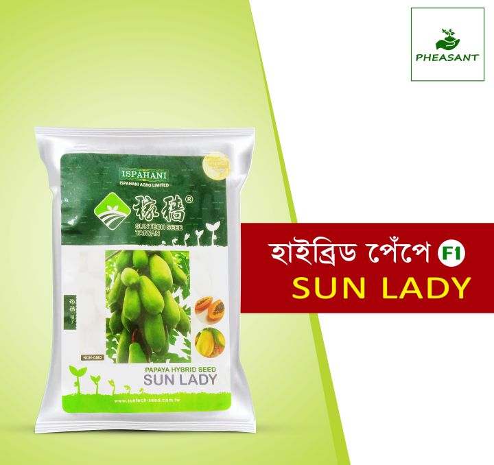 Hybrid (F1) Papaya (পেঁপে) Seed Sun Lady (Mini Intact Packet) | Daraz ...