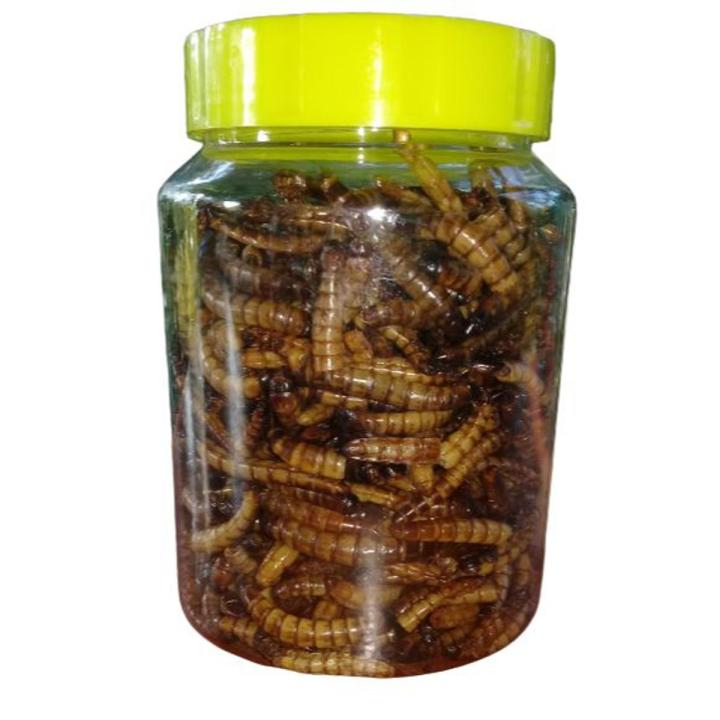 Dried Superworm (Birds and Animals Food) 100g | Superworms are Darkling ...