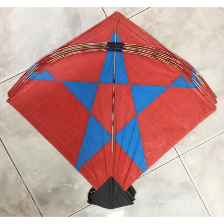 Patang (Indian Kites) | Daraz.com.bd