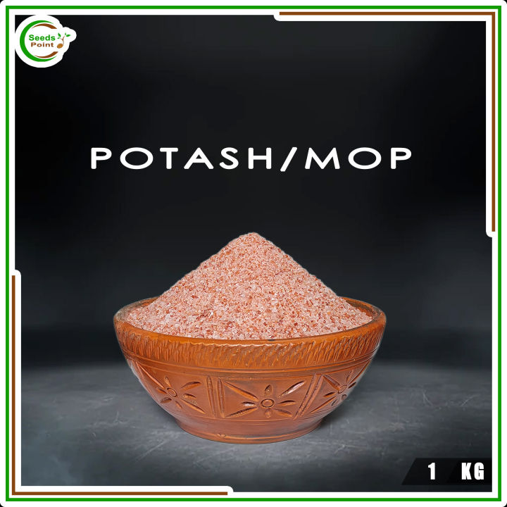 Potash/MOP (Chemical Fertilizer) - 1 kg | Daraz.com.bd