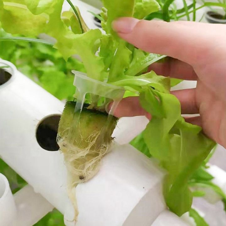 【Trusted】 Diy Home Garden Balcony Vegetable Planter Fittings ...