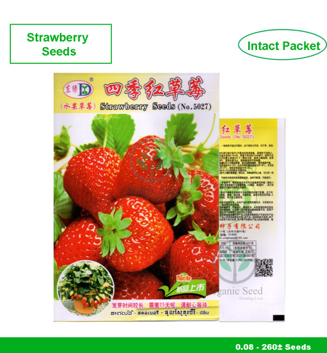Red Strawberry Seeds intact packet 250± Seeds (Imported BY ORGANIC ...