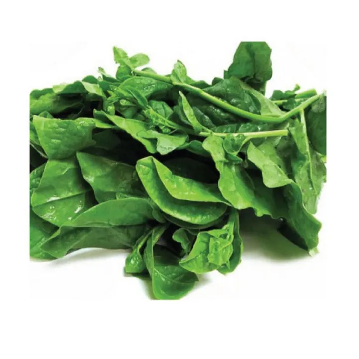 All Season Pui Sak Seed - 20 Gram Seed | Daraz.com.bd