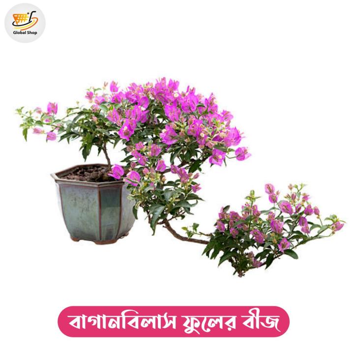 Bagan Bilash Flowers Seeds 3 Pis + Gift | Daraz.com.bd