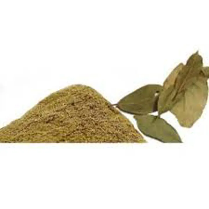 Bay Leaf (Tejpata) Powder - 50 Gram | Daraz.com.bd