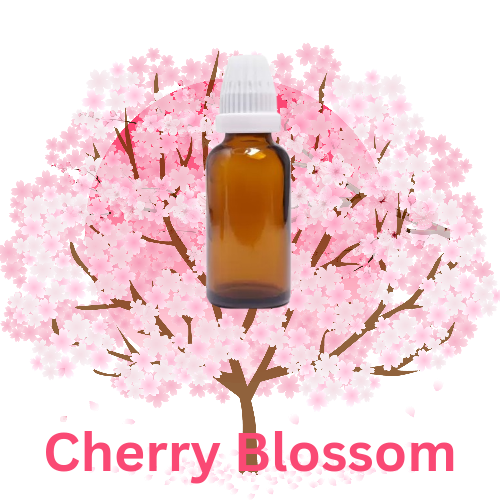 Cherry Blossom Essential Oil 0.5 Oz (15ML) / 1 Oz (30ML) / 50ML / 100ML ...
