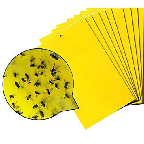 Yellow Sticky Traps - Adhesive Insect killing Trap - Yellow Color Traps ...