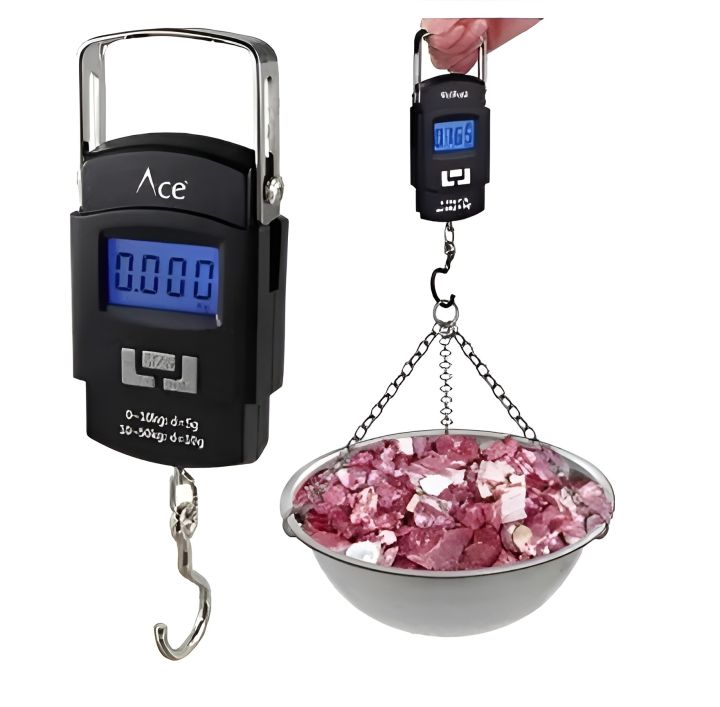 Portable Digital 50 Kg Weighing Scale With Metal Hook - Weight Machine ...
