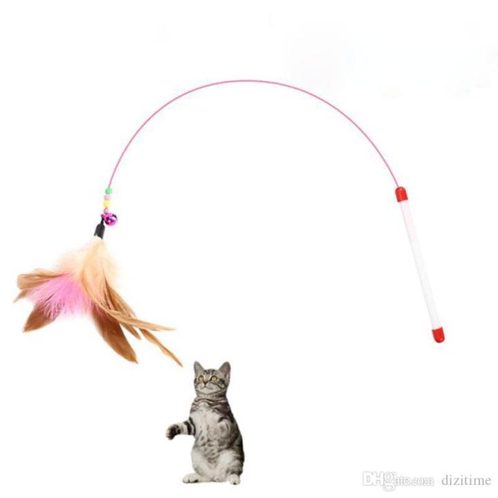 Feather Teaser Wand Cat Toy | Daraz.com.bd
