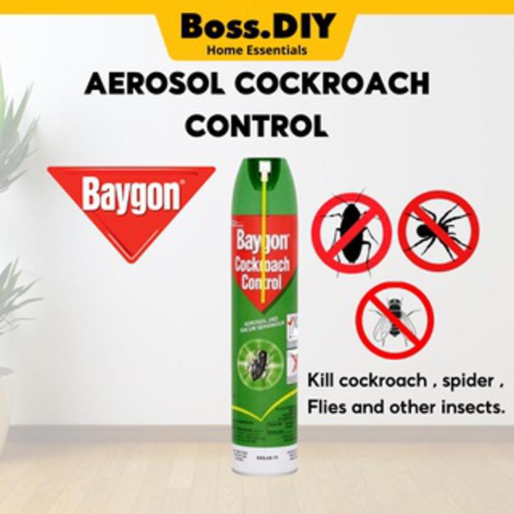 Baygon Cockroach Control - 570ml | Daraz.com.bd