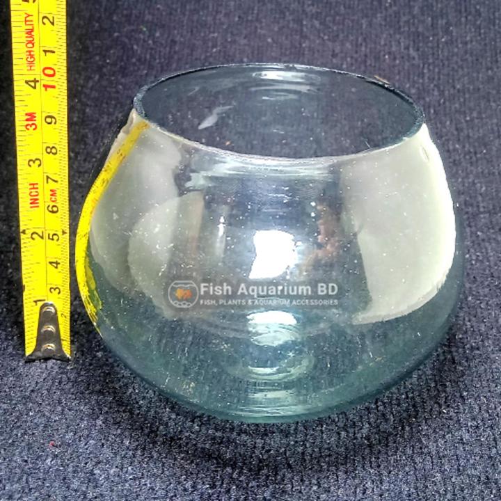 Bangladesh Transperant Fish Jar | 4 Inches Fish Bowl | Deshi Fish ...