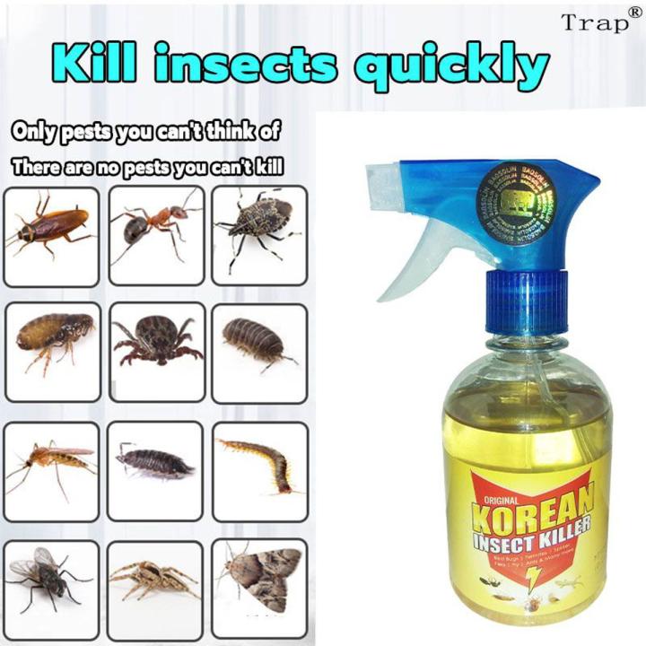 Korean Insect Spray 250ml [Bedbugs , Terminate , Cockroach , Ant etc ...