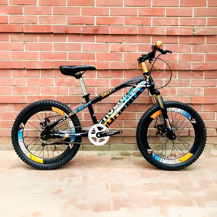 20'' Phoenix Double Disc Brake With Fat Tyte Cycle - Enjoy Smooth And ...