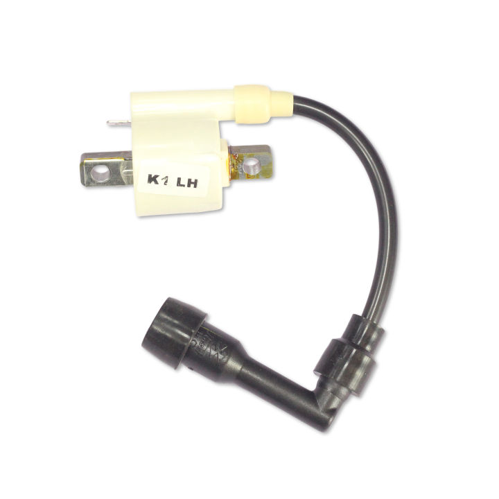 Ignition Coil Bajaj Pulsar all Left | Daraz.com.bd