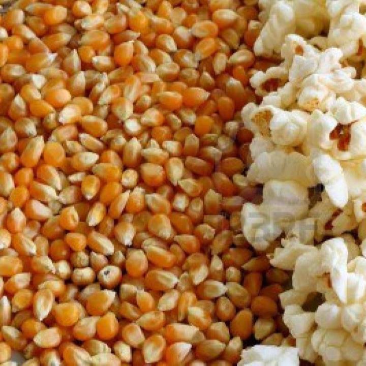 Popcorn (Bhutta)-1 Kg | Daraz.com.bd