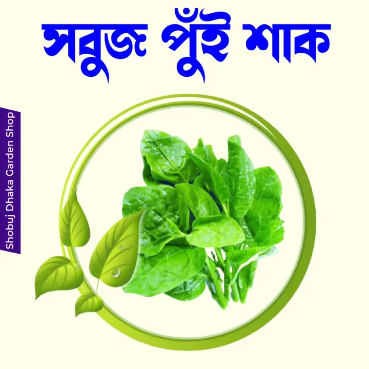 Hybrid Shobuj Pui Shak Seeds 0.1gm | Daraz.com.bd