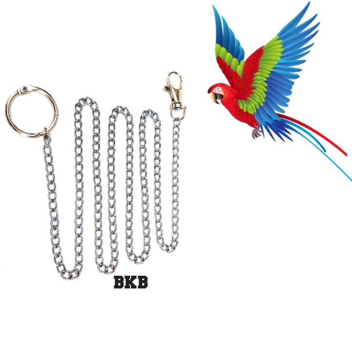 Metal Foot Chain Harness and Leash for Bird Parrot Cockatiels Conure ...