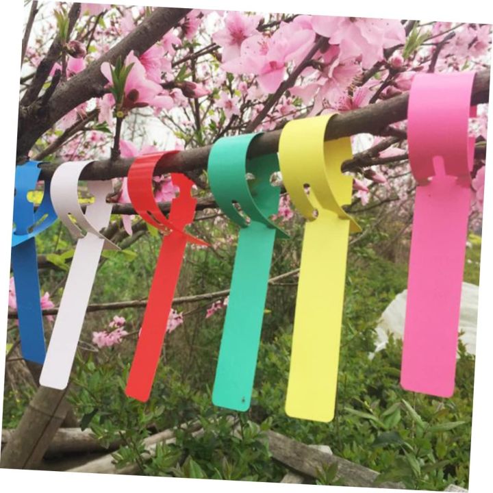 Garden Hang Tag 20 pcs Decoration Supply Hanging Tree Seedling Fruit ...