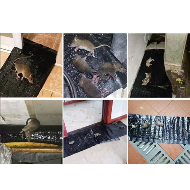 Large Mouse Gel Glue Board Mousetrap Rat Sticky Mat Mouse Pad Sticky ...