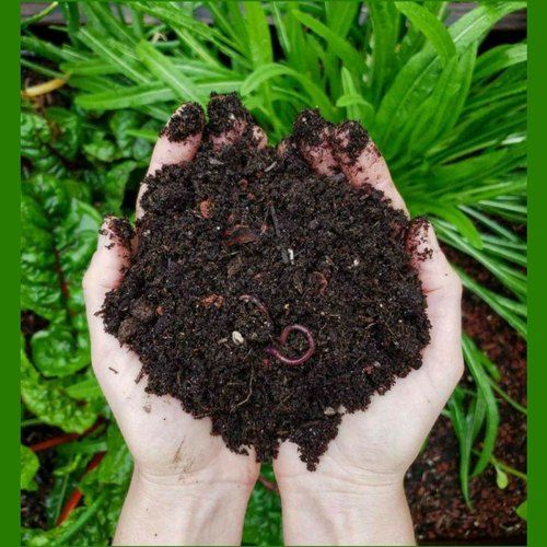 Vermicompost (Kecho Sar) - 2kg | Daraz.com.bd