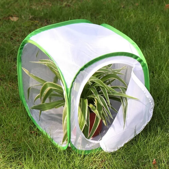 Portable Cocoon Silkworm Hatch Housing Enclosure Butterfly Breeding ...