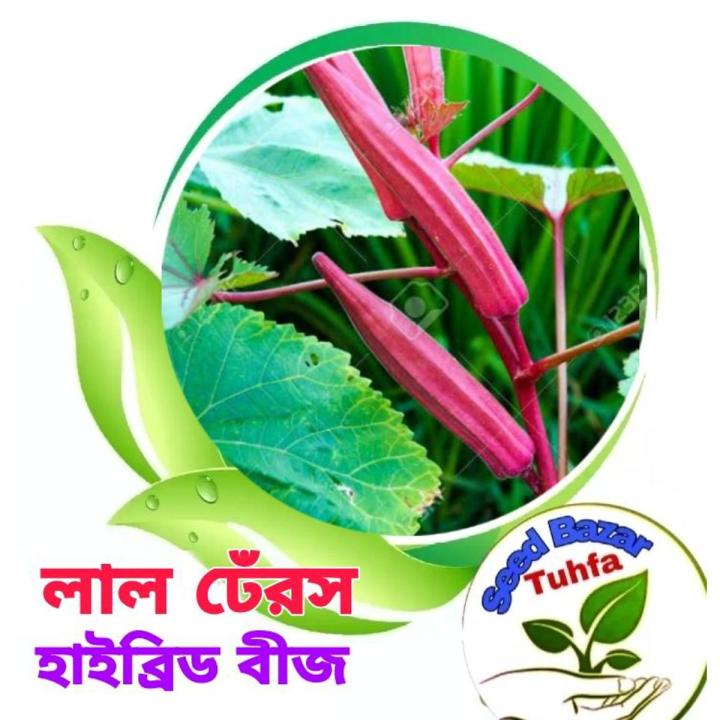 Hybrid Red Dheros Seed (10 Pcs Re Packet Seed) | Daraz.com.bd