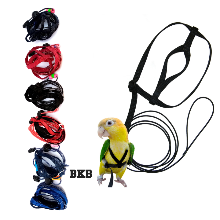 Adjustable parrot Bird Aviator Harness Leash Anti-Bite Flying Training ...