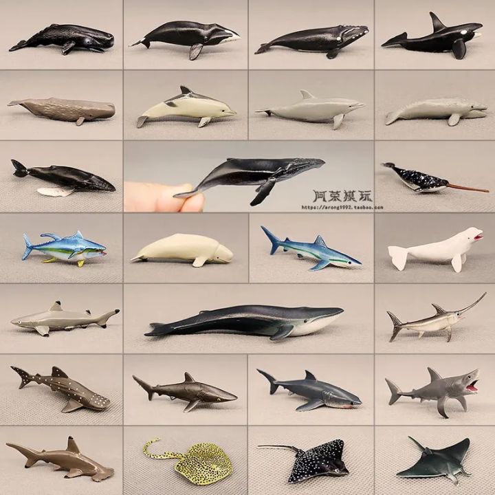 Sea World Mini Fishes Model Great White Shark Blue Whale Beluga Whale ...