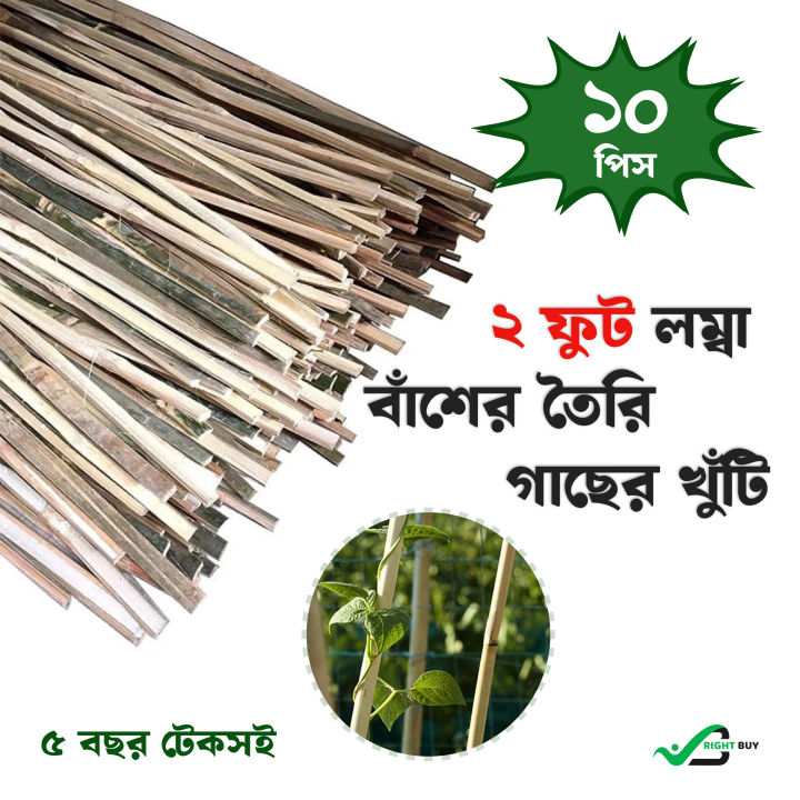 2 feet Best Quality Gardening Stick for Top Plant Roof Garden (10 pcs ...
