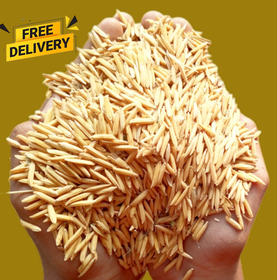 Pakistani Basmoti Rice Seeds | Daraz.com.bd