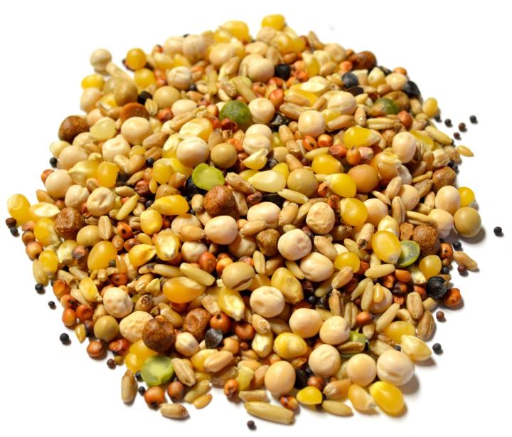 Pigeon Food Mix 1KG | Daraz.com.bd