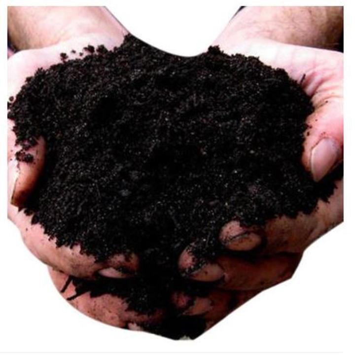 Organic Fertilizer Biochar Natural Bio Compost 25 kg loose | Daraz.com.bd