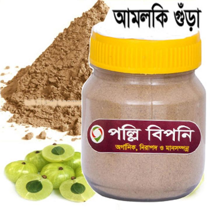 Amloki Powder -100gm | Daraz.com.bd