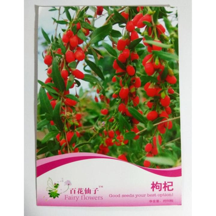 WOLFBERRY FRUIT SEEDS ( INTAKE PACKET ) = 50 PLUS SEEDS | Daraz.com.bd