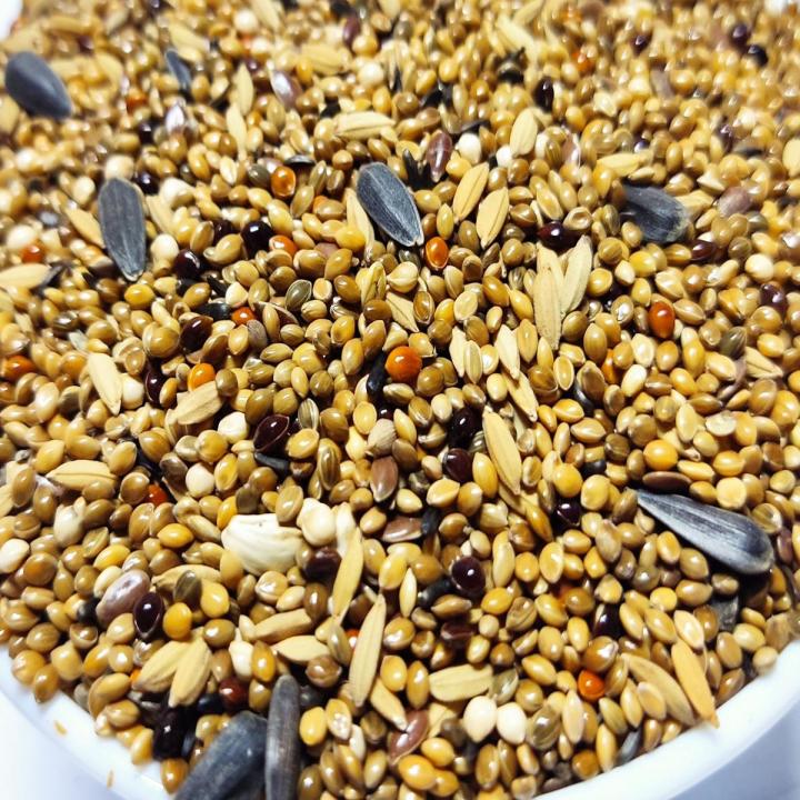 Seed mix For Bird (Premium) - 1kg | Daraz.com.bd