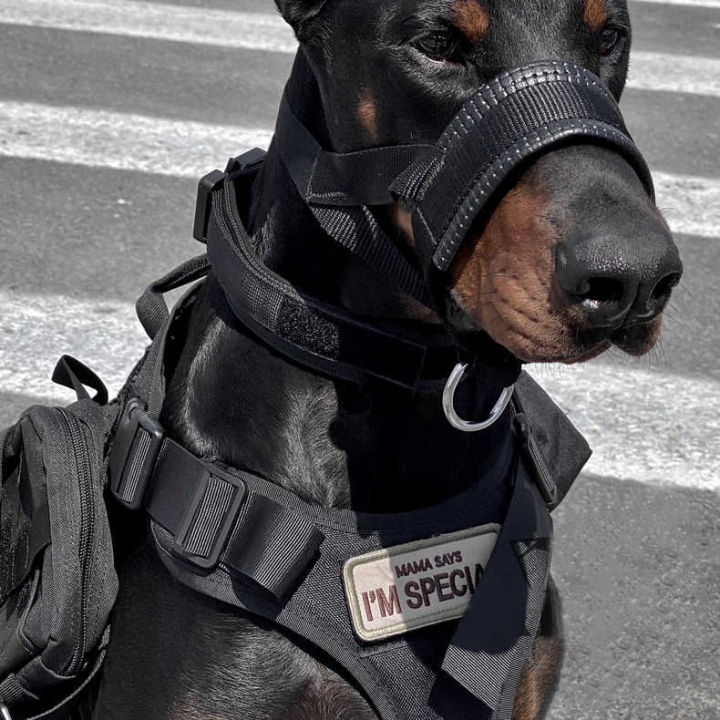Doberman tactical muzzle explosion-proof punch traction training big ...
