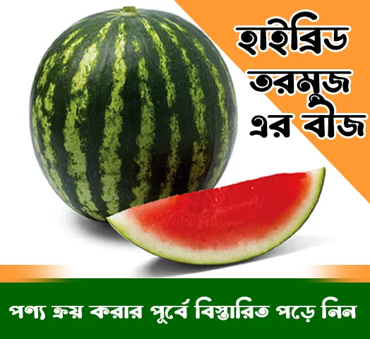 Hybrid Watermelon Seed - 05/10 pcs pack seed - tormuj seed | Daraz.com.bd