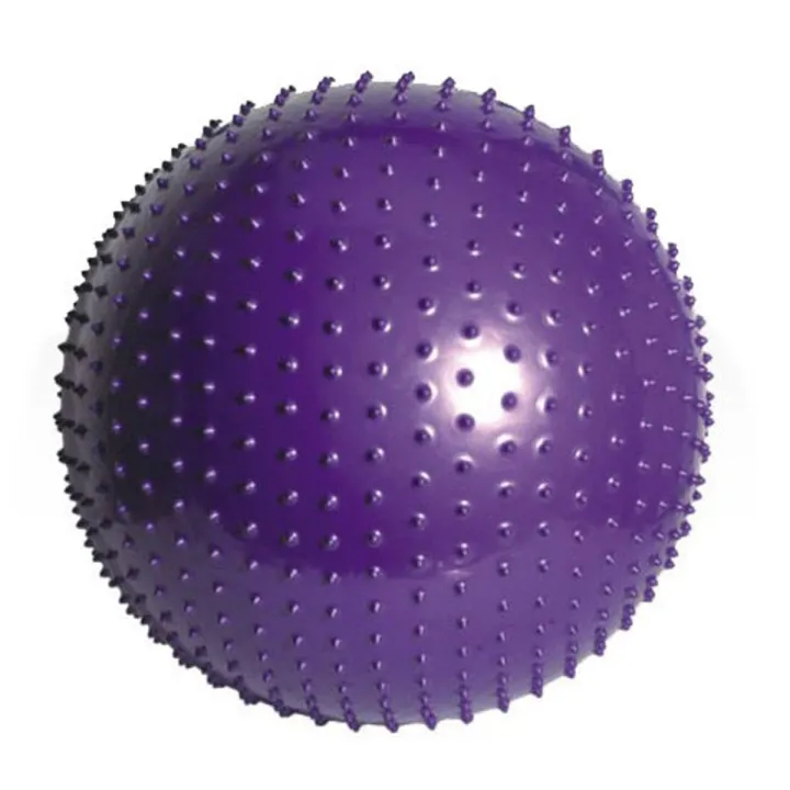 Anti Burst Fitness Gym Tharapy Ball With Massage Points | Daraz.com.bd