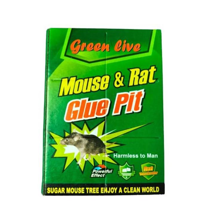 Mouse and Rat Glue Trap Pit_killer (3 Pcs) | Daraz.com.bd