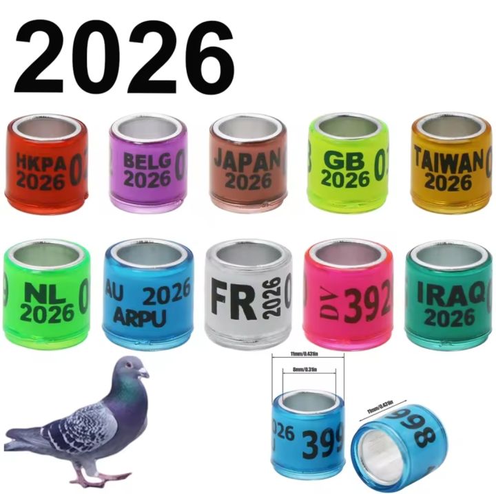 2026 Multicolor Racer Pigeon Foot Ring 8mm With Word Earrings Quality ...