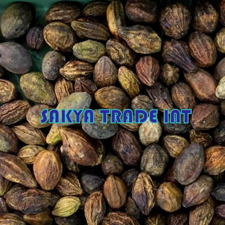 Hortoki Horitoki (Myrobalan) Dry Haritoki Harad (Terminalia chebula ...