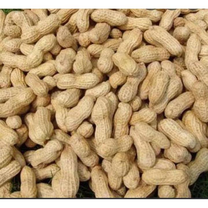 Desi Dried Raw Peanut 1 kg | Daraz.com.bd