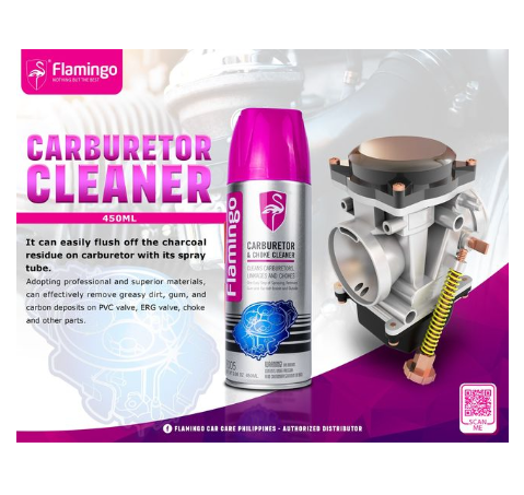 Flamingo Carburetor & Choke Cleaner 450 ml | Daraz.com.bd