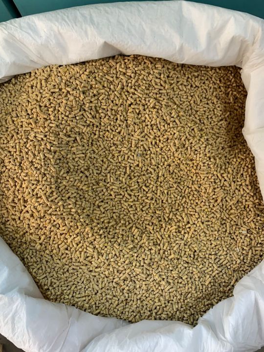 Nourish Layer Grower Poultry Feed 500GM | Daraz.com.bd