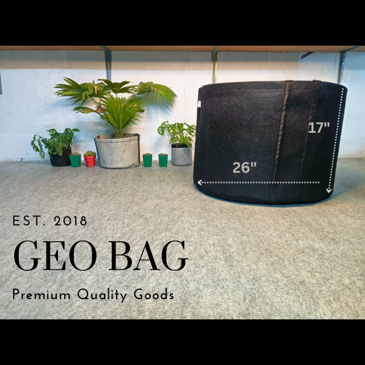 GEO Bag 40 Gallon -1 PCS (Fabric Tub) dia 26" hight 17"- Plant Grow ...
