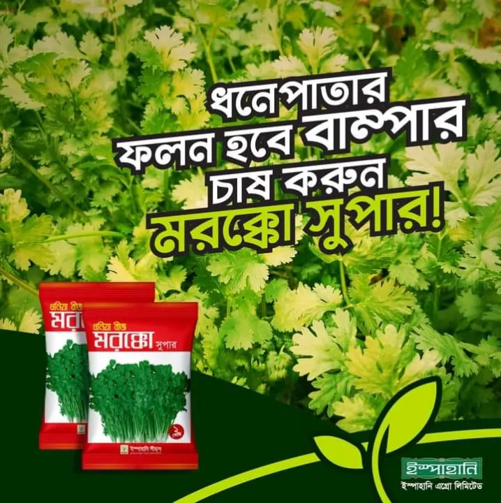 Re-Pack Coriander Seeds 5gm Pack | Daraz.com.bd