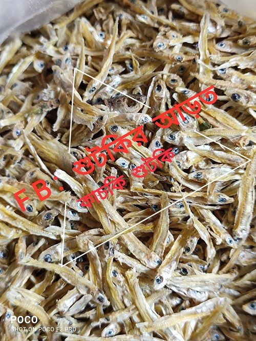 Shutki/ Premium Kaski Dry Fish 1KG | Daraz.com.bd