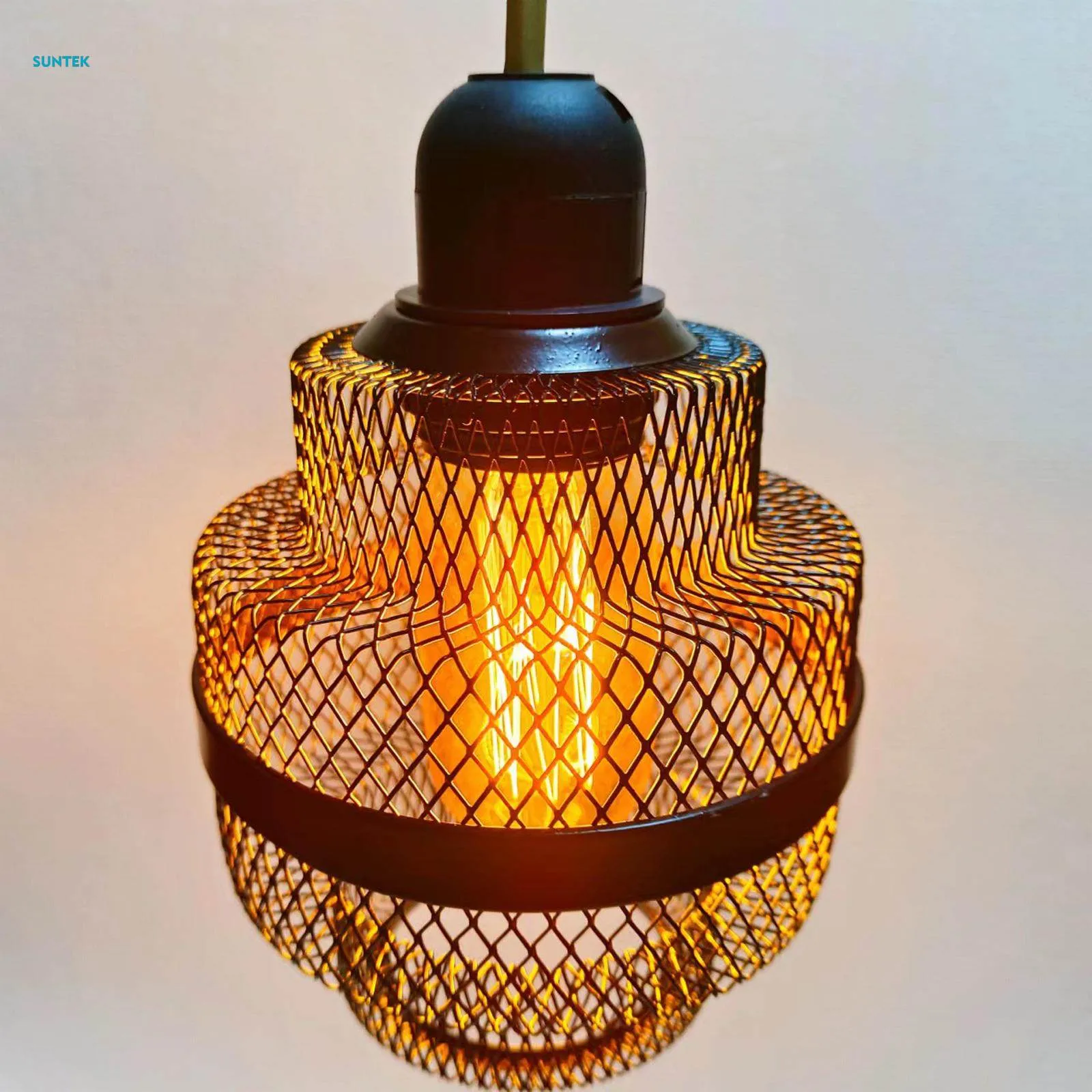 Ceiling Light Fixtures Lamp Shade Metal Wire Light Cage Fitting, Hollow ...
