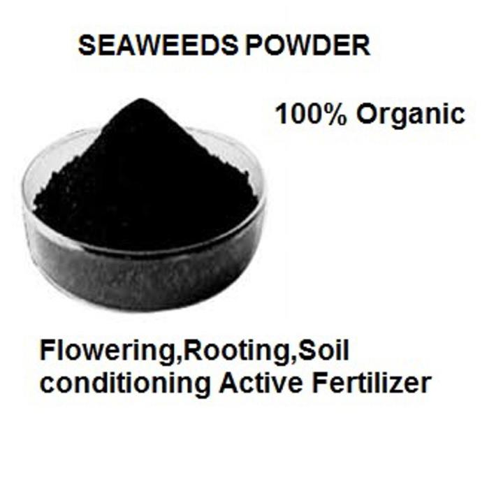 Seaweed Extract/Powder for plant 50g | Daraz.com.bd